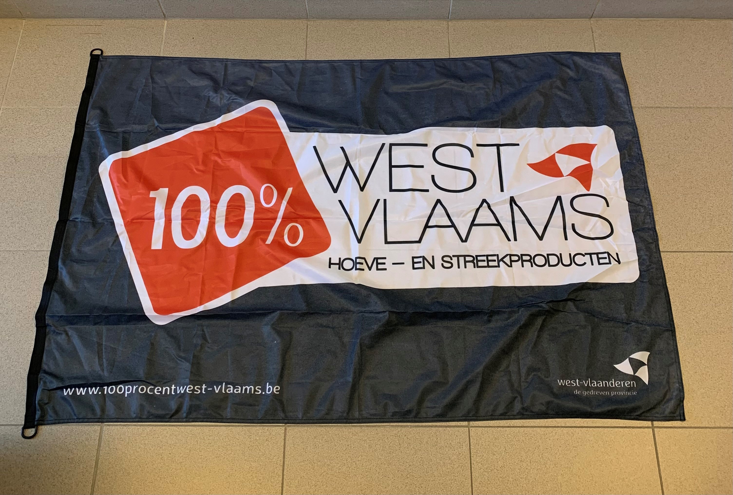 Mastvlag groot met D-ringen - POM